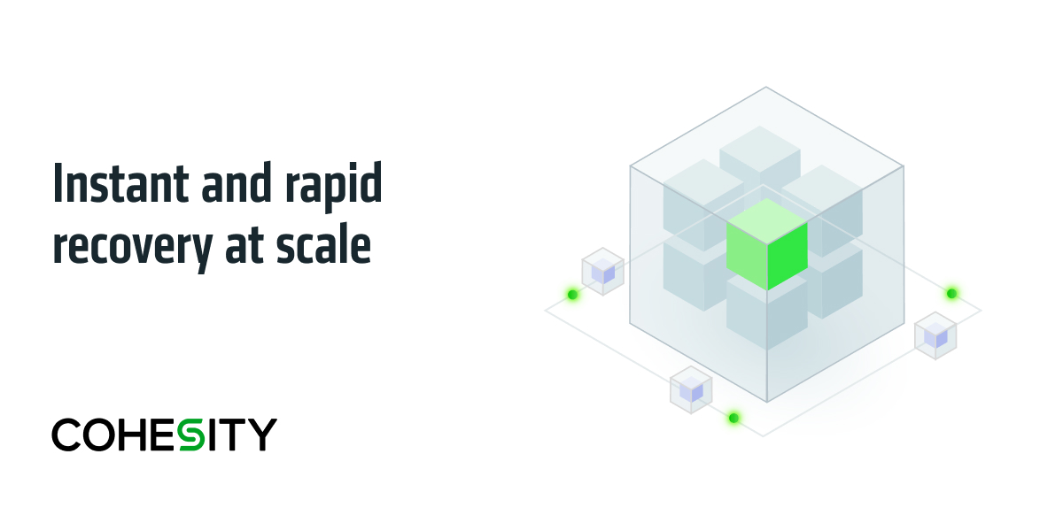即時かつ迅速な復旧 | Cohesityインスタントマスリストア